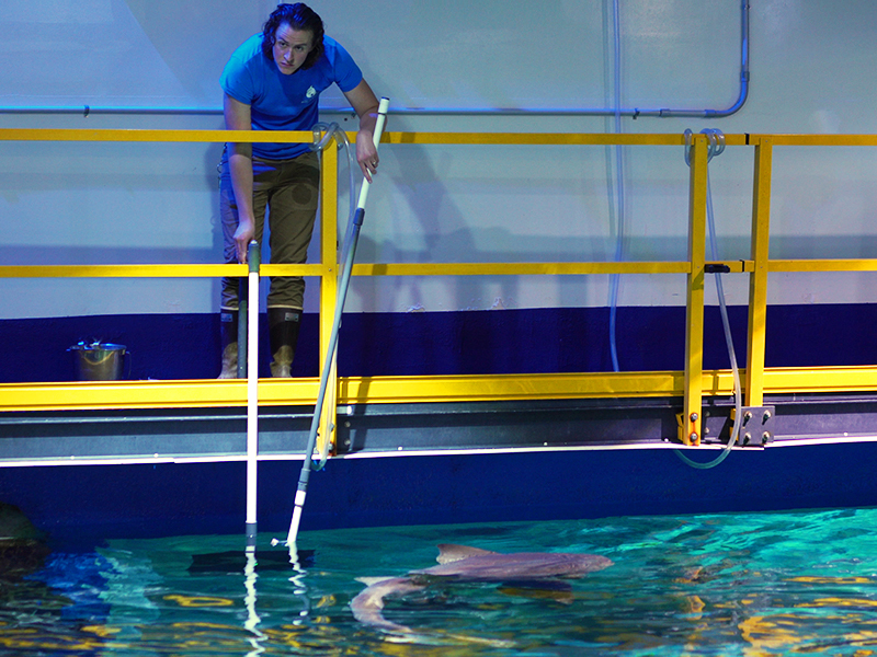Meet An Aquarist - The Living Planet Aquarium