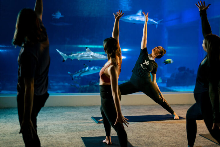 Yoga with the Sharks - The Living Planet Aquarium