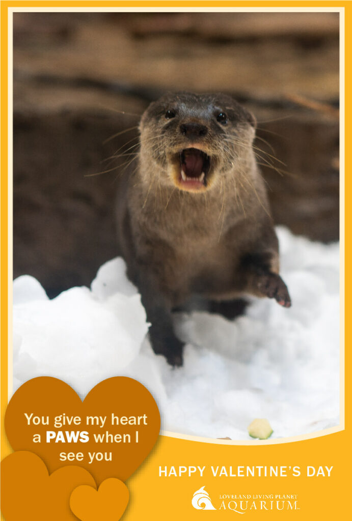 Shareable Valentines - The Living Planet Aquarium
