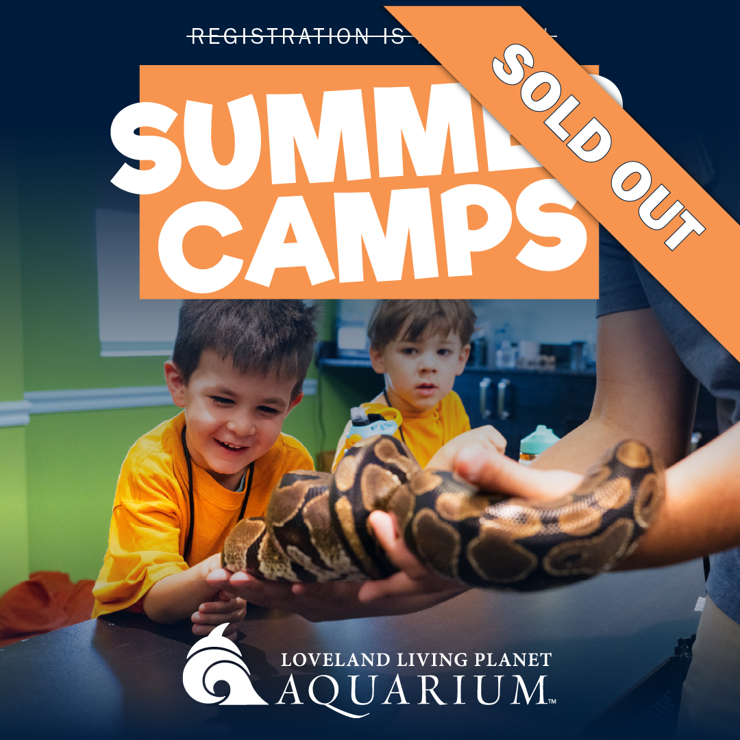 Sold Out Camps - The Living Planet Aquarium